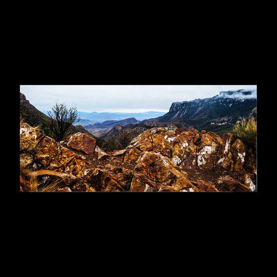 Caroline Strand - Main Street Art